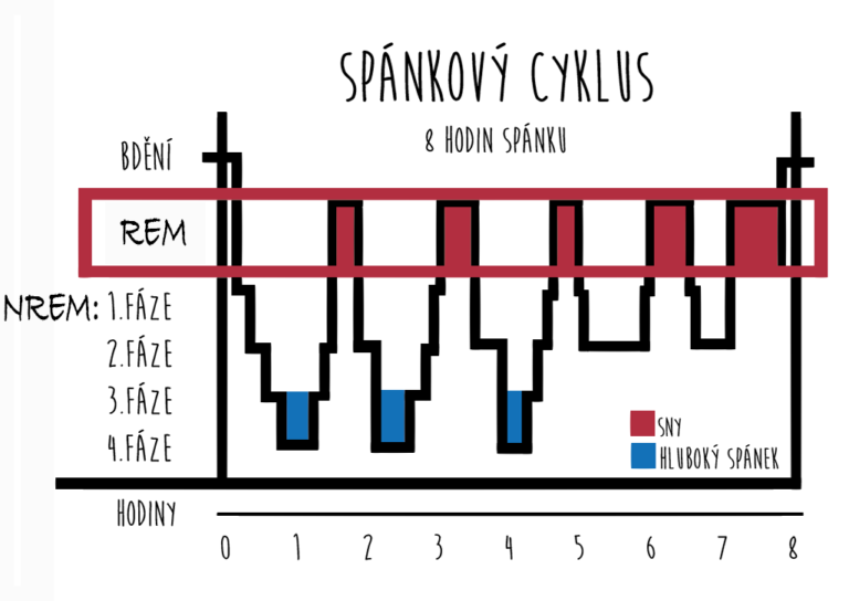 Fáze spánku, znáte je všechny?? | Odhalte je s námi na Jaknaspánek.cz